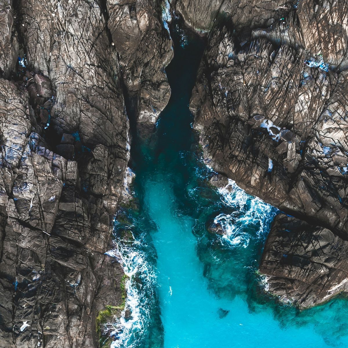 Ethics in sustainability | Limoli
